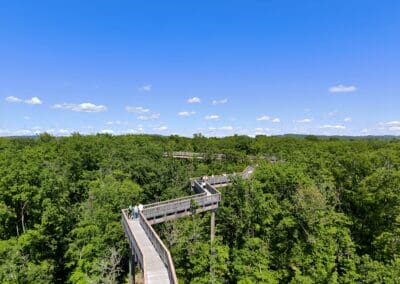 Baumwipfelpfad Bad Camberg – Ein Ausflug hoch hinaus mit Aussicht und ...