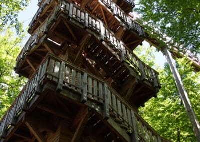 Baumwipfelpfad Bad Camberg – Ein Ausflug hoch hinaus mit Aussicht und ...